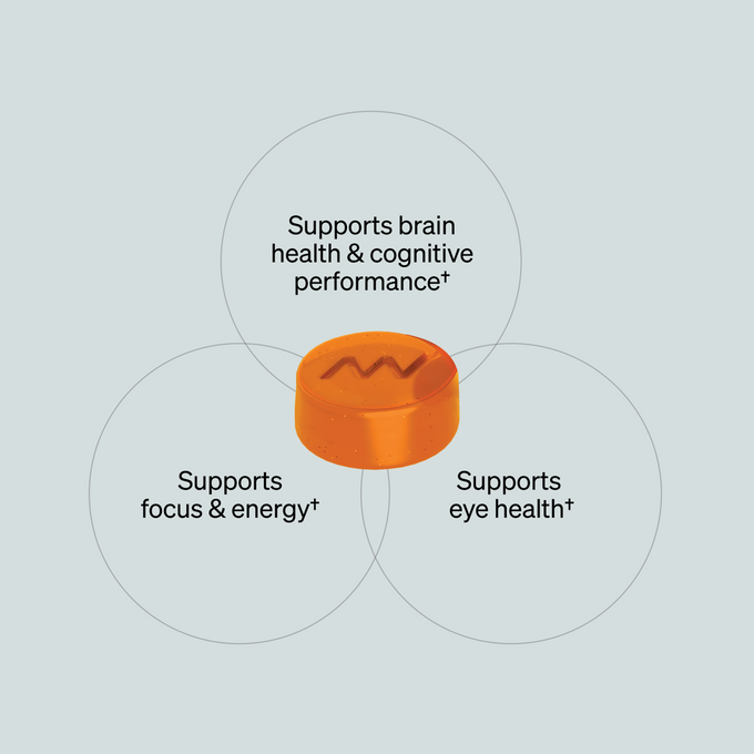 Alpha BRAIN® Neuro Gummies (90 ct) – Onnit