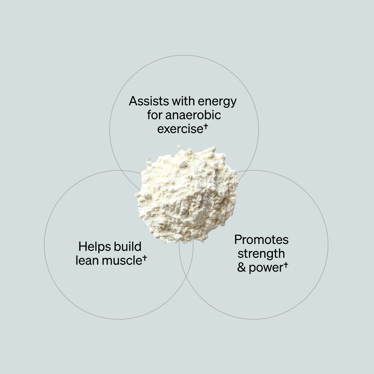 Creatine - Unflavored (30 Serving Tub) – Onnit